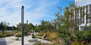 Park Center, State Farm Regional Hub - Cooper Carry